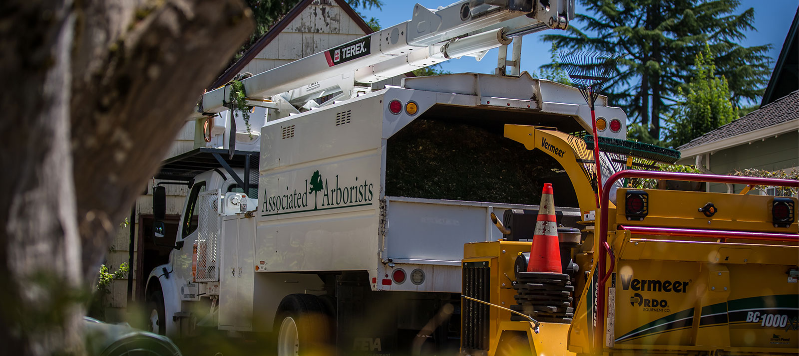 Tree Service Company In McMinnville, Oregon | Contact Us